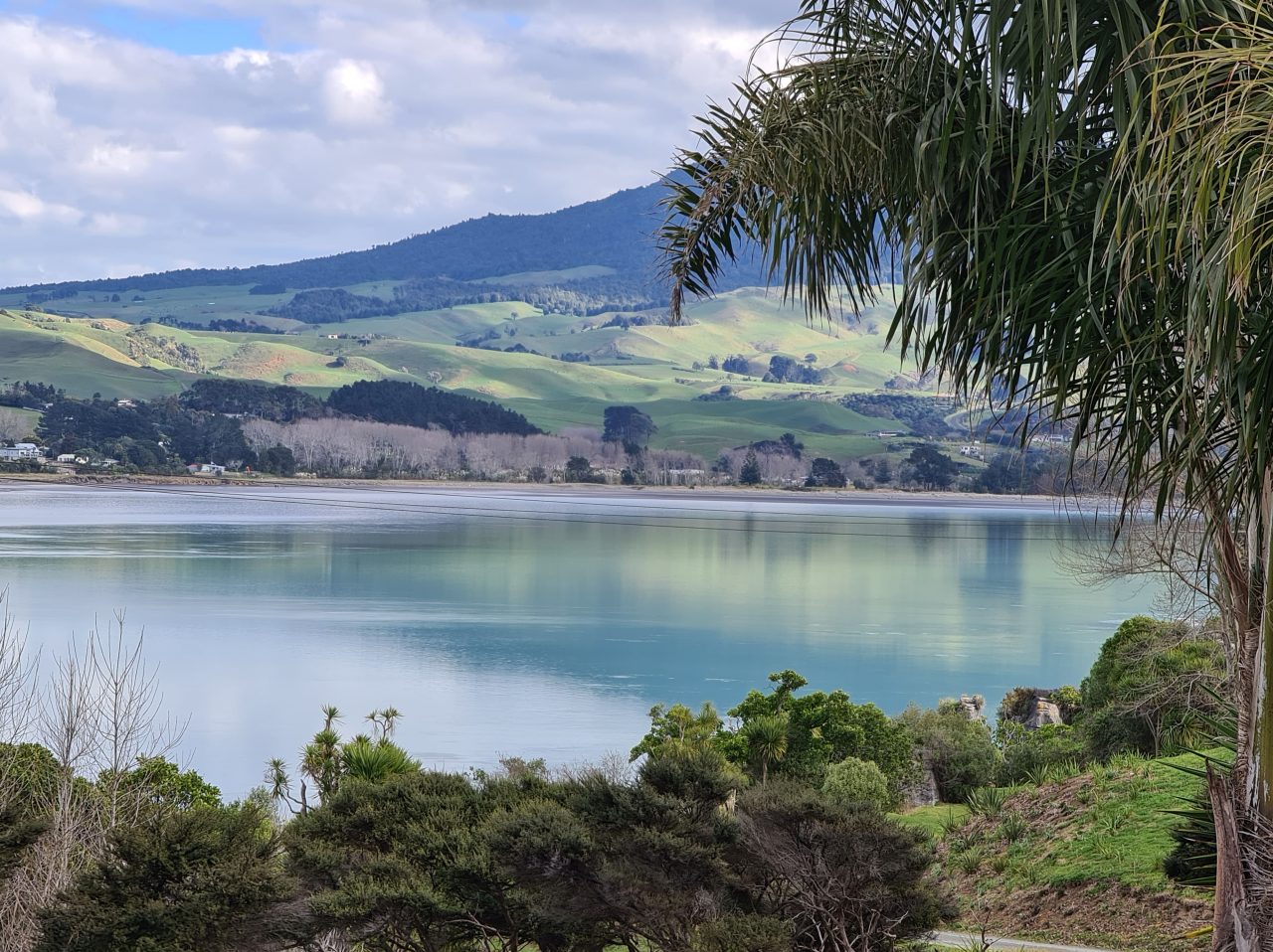 Fishing Charters in Raglan New Zealand | Raglan Fishing Charters